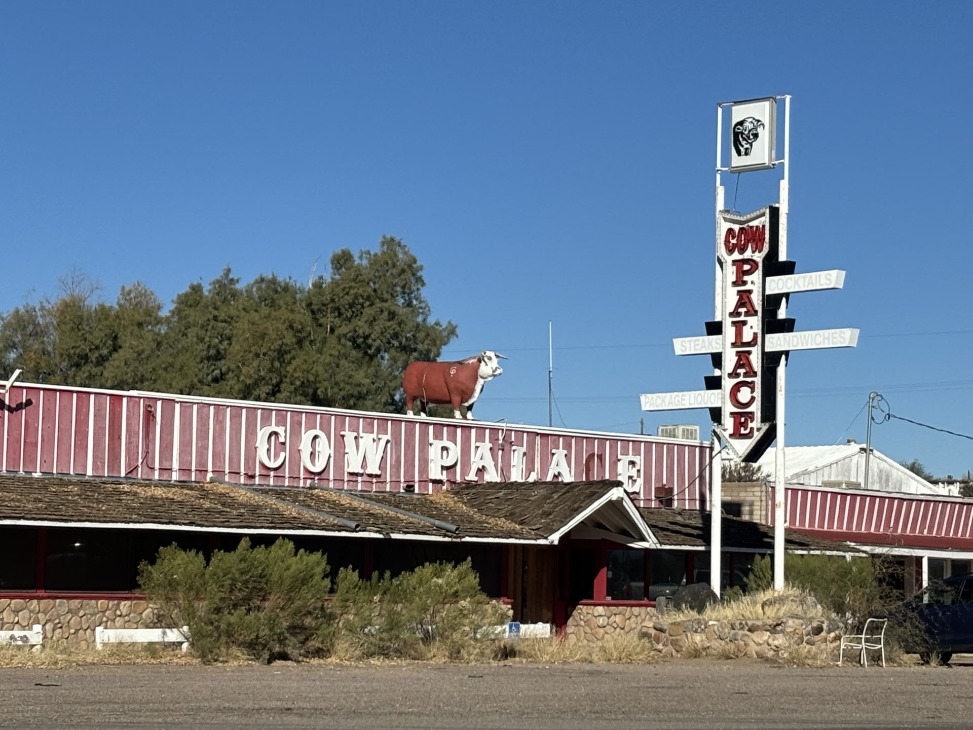 Cow Palace – Birds and More